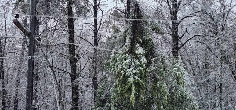 WPS wrapped historic power restoration efforts - Wisconsin Public Service